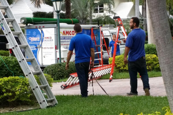 Christmas Lights By AMCO - Holiday Lighting Services